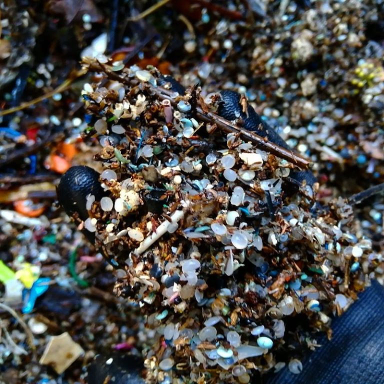 Nurdles: The Microplastic Menace You've Never Heard Of - Nurdle