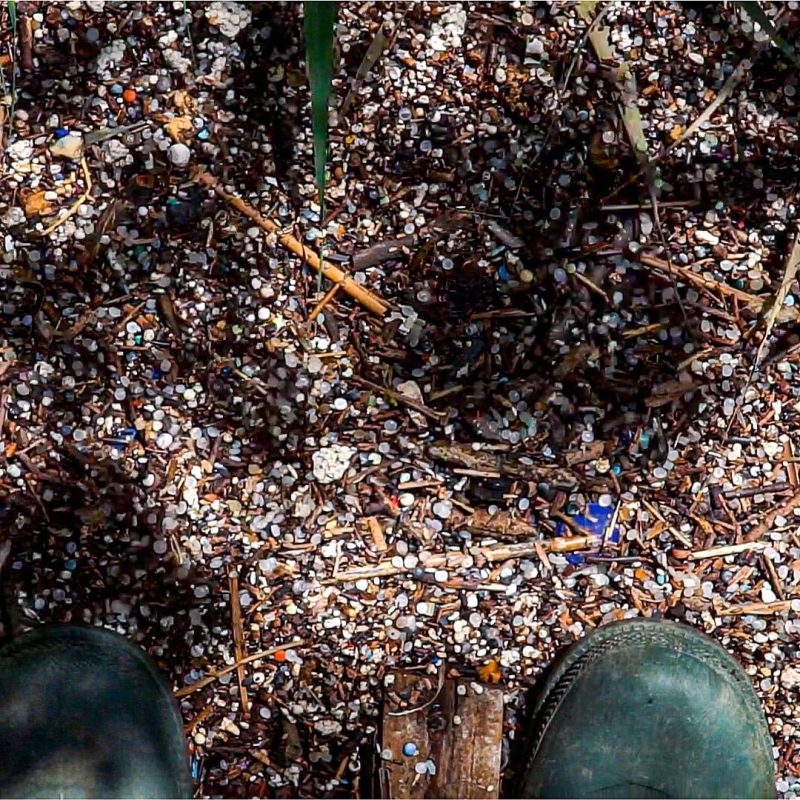 Nurdles: The Microplastic Menace You've Never Heard Of - Nurdle